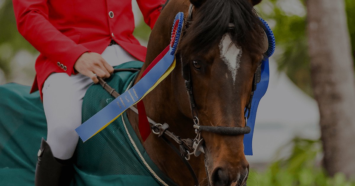 Corro's Bestsellers | Corro