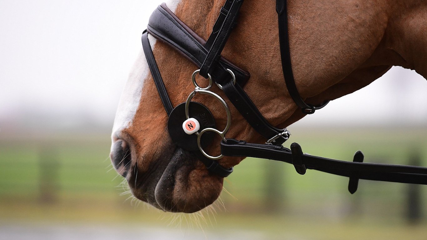 English Bits | Corro