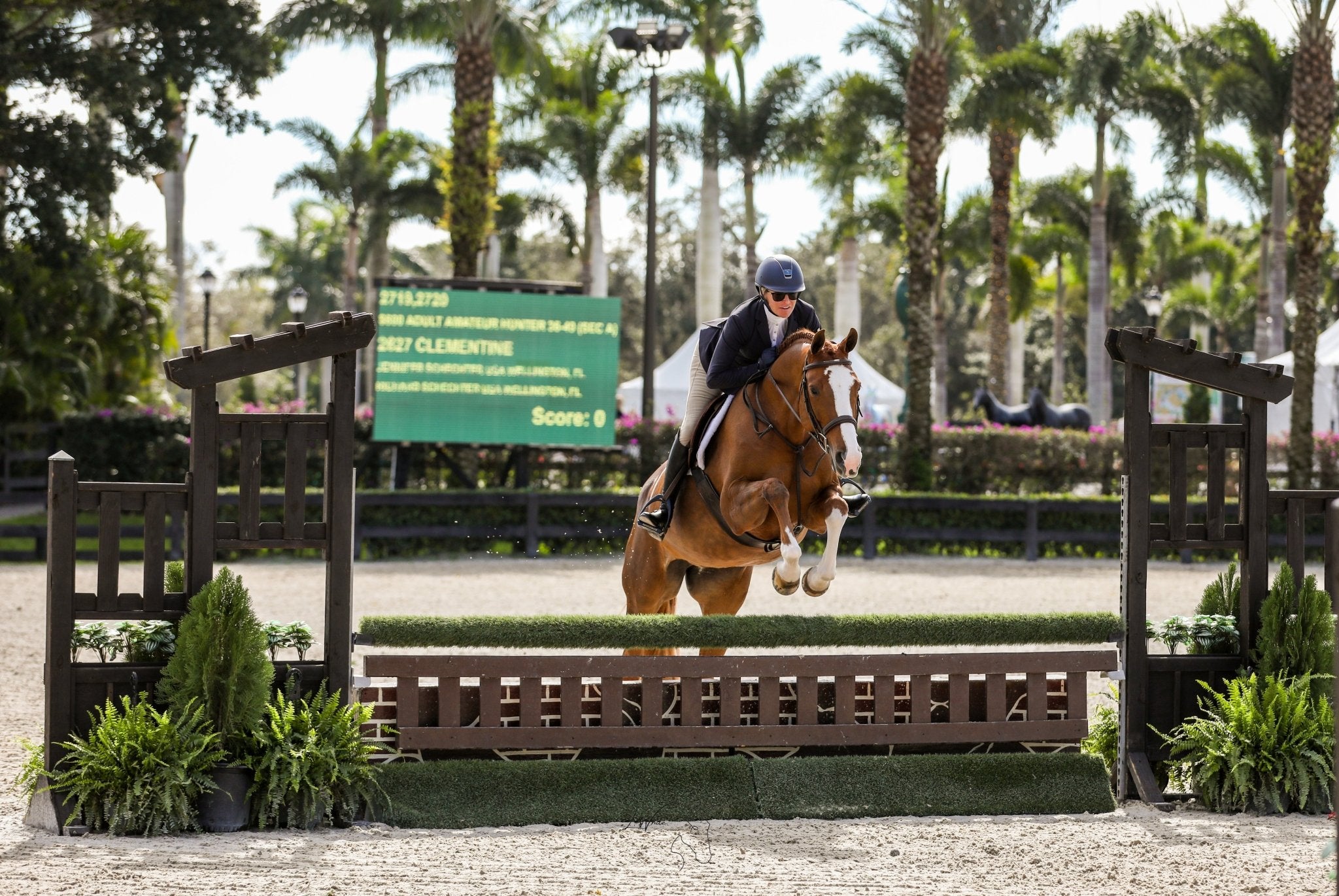 English Show Essentials | Corro