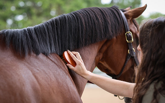 Grooming Tools | Corro