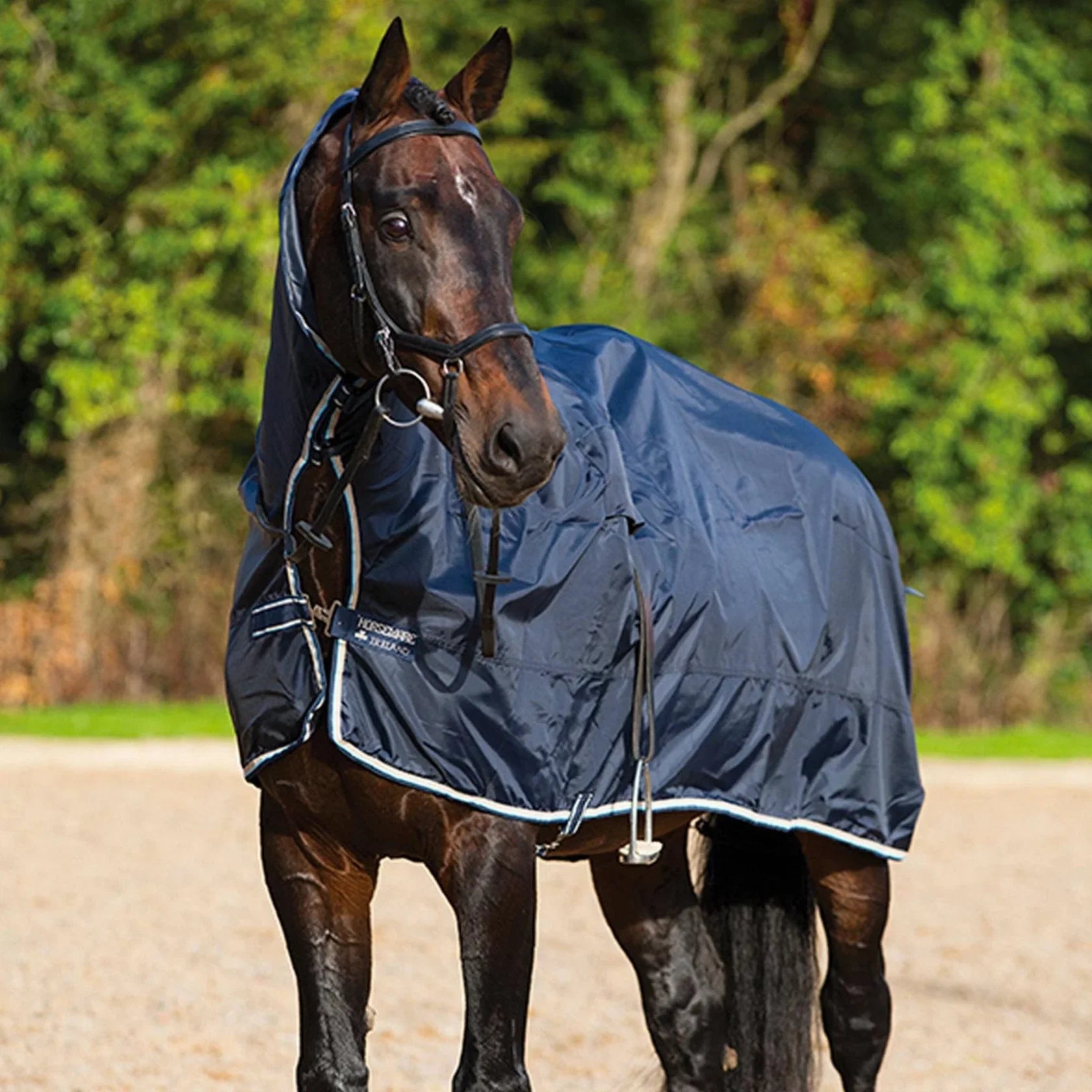 Rain Sheets for Horses | Corro
