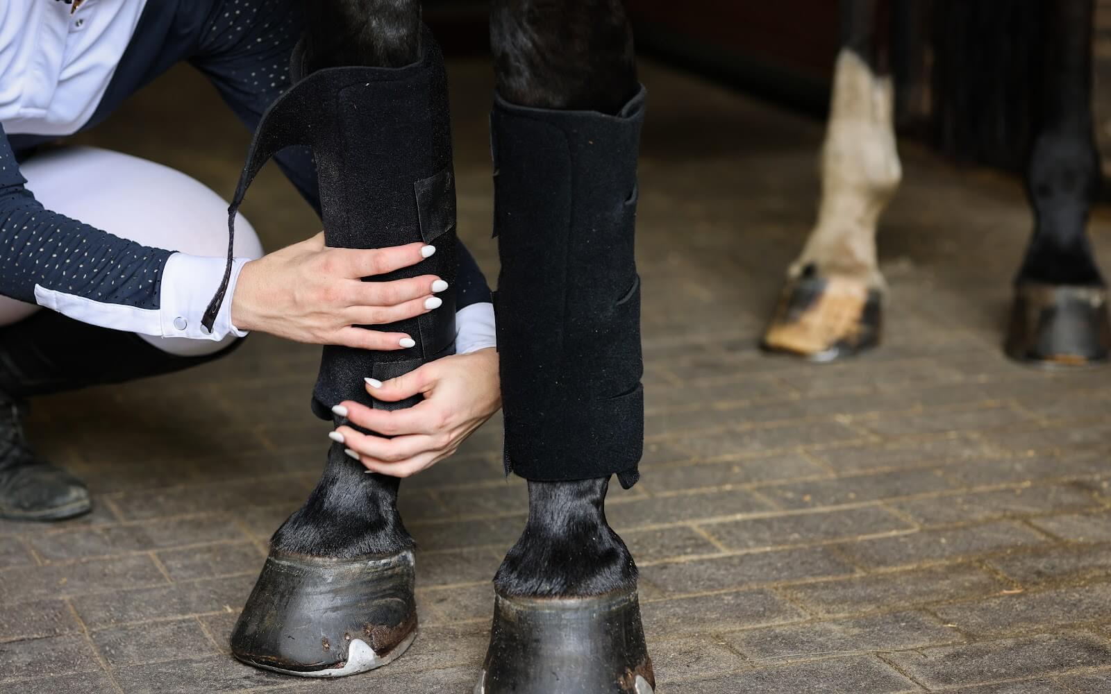 Shop Equine Ice Therapeutic Solutions | Corro | Corro