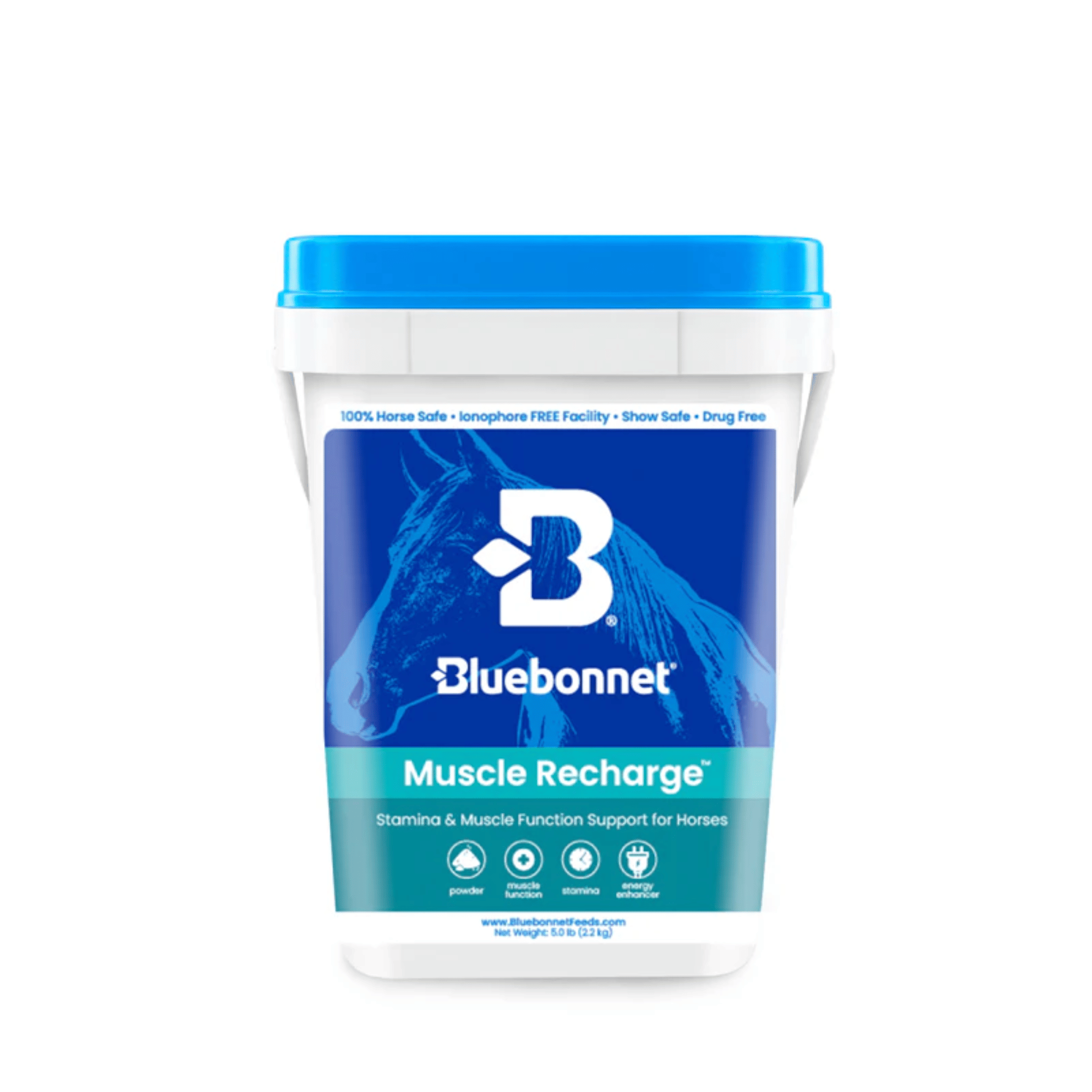 Bluebonnet Muscle Recharge | Corro