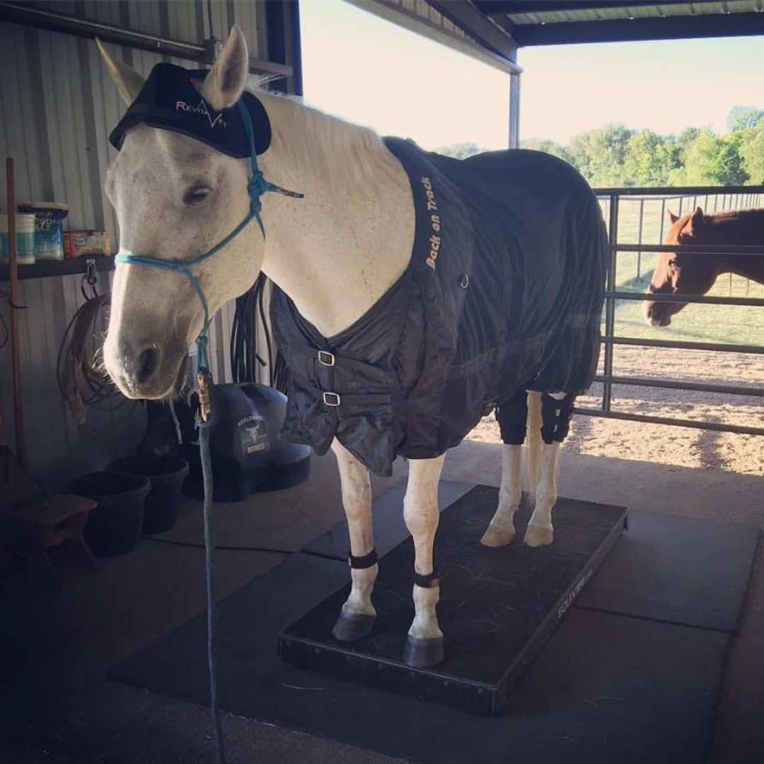 RevitaVet Poll Cap | Corro