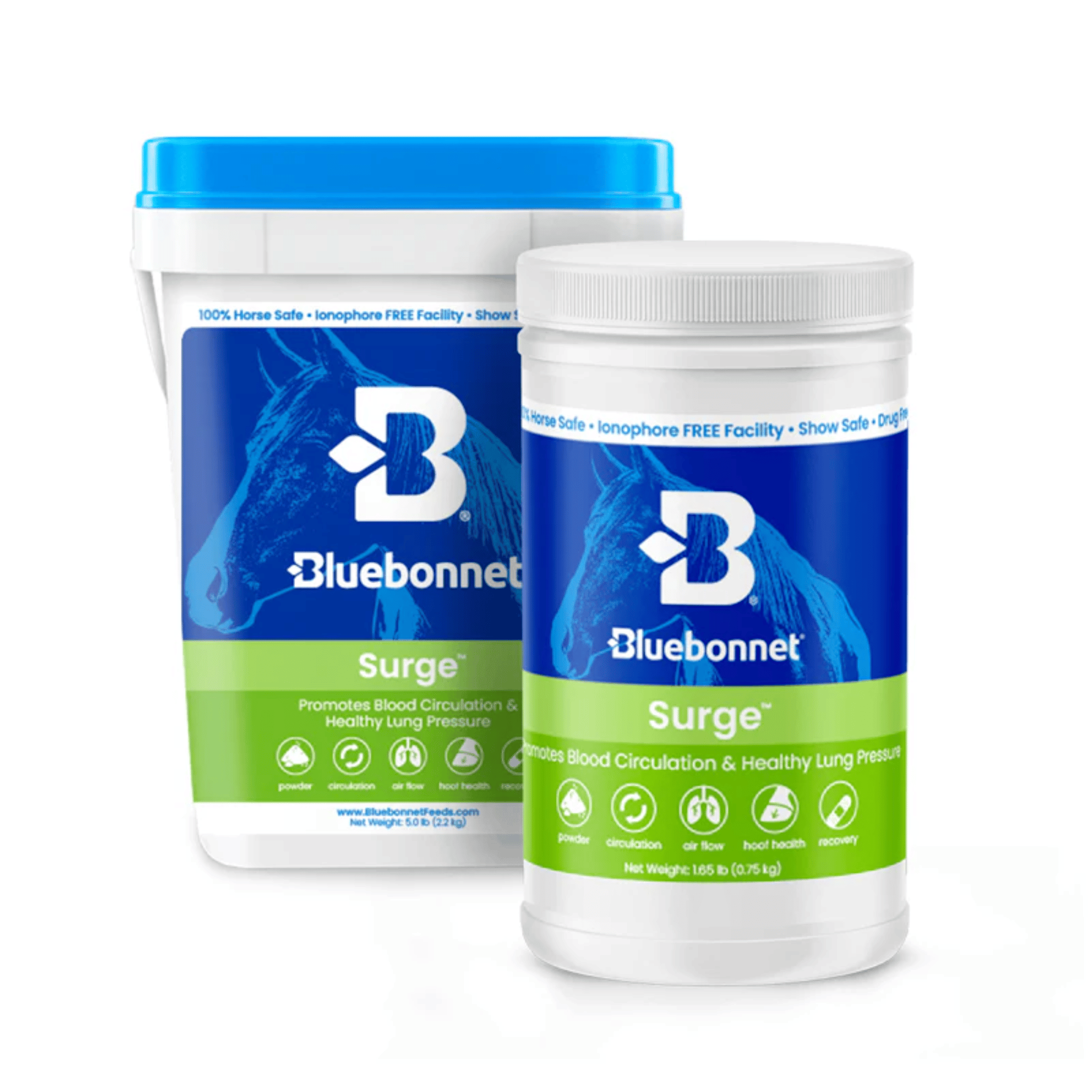Bluebonnet Surge | Corro