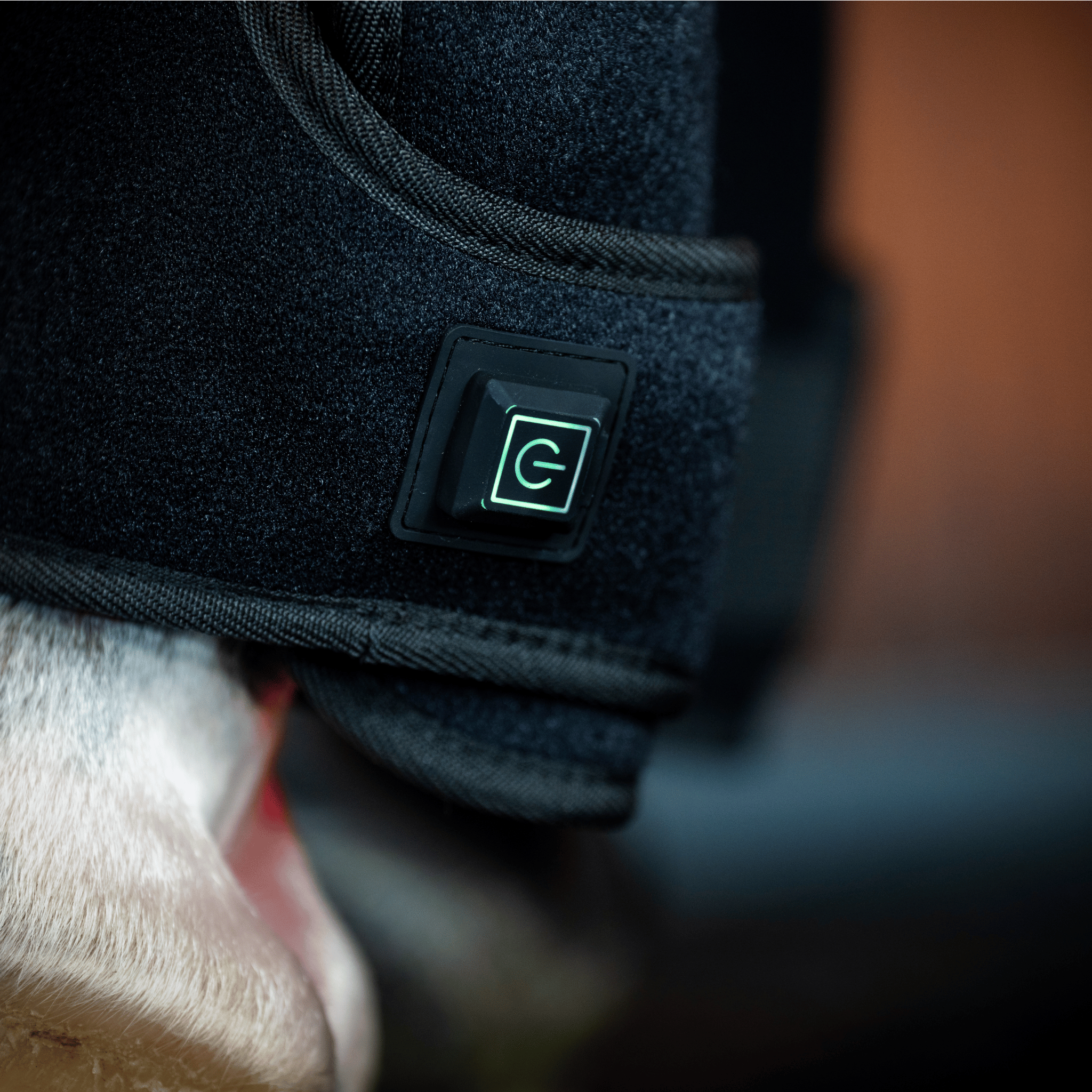 Horseware Ireland LED Red Light Leg Wrap | Corro