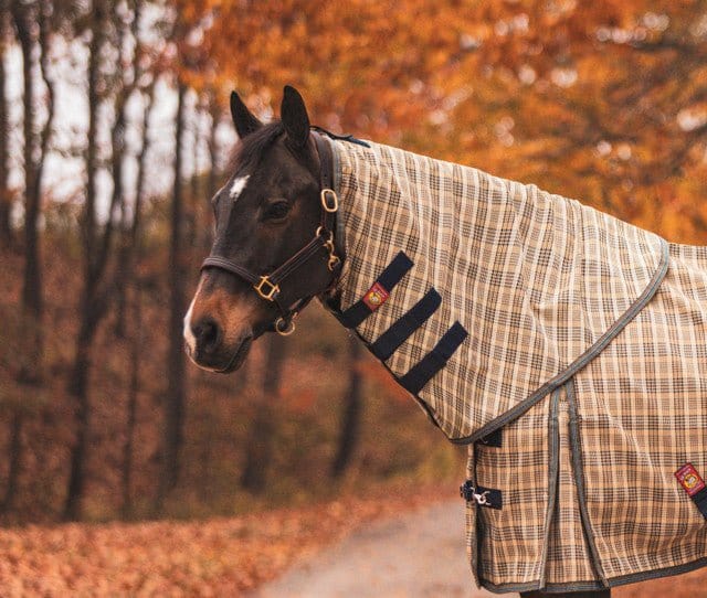 5/A Baker Neck Cover | Corro