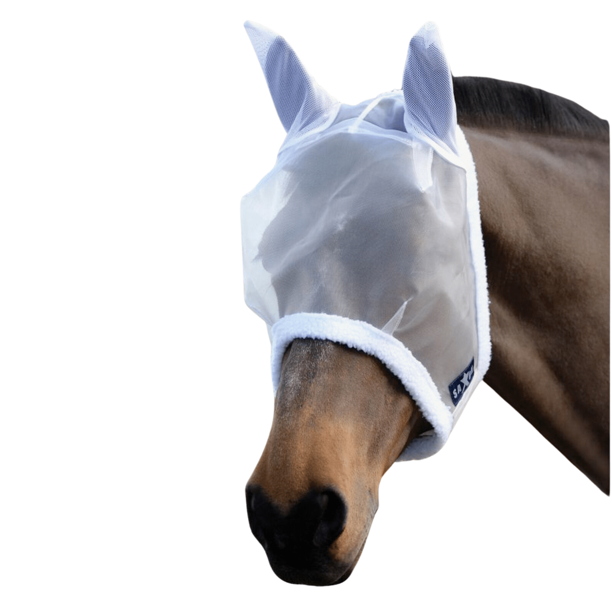 Saxon Fly Mask | Corro