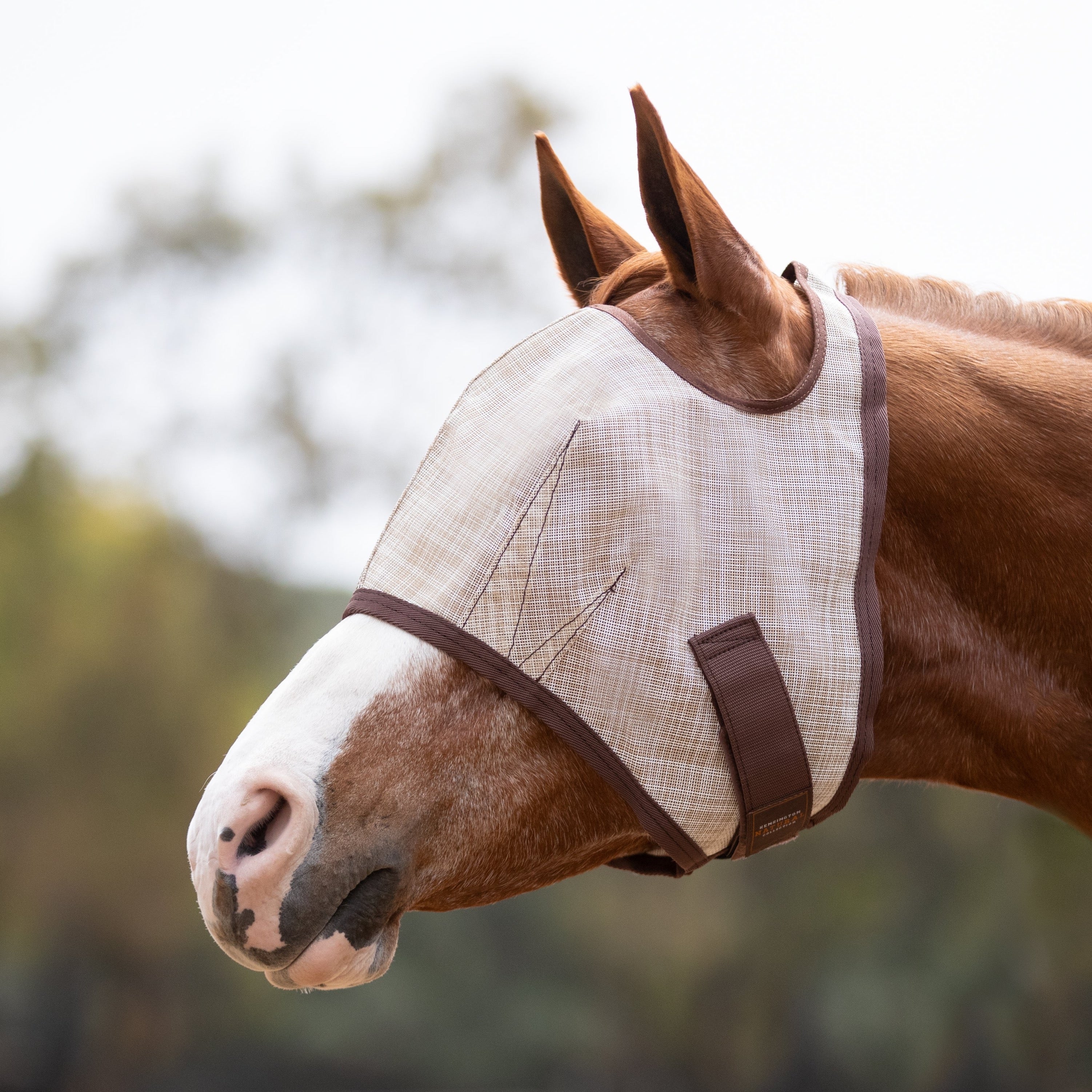 Kensington Draft Fly Mask with Web Trim - Open Ear Design | Corro
