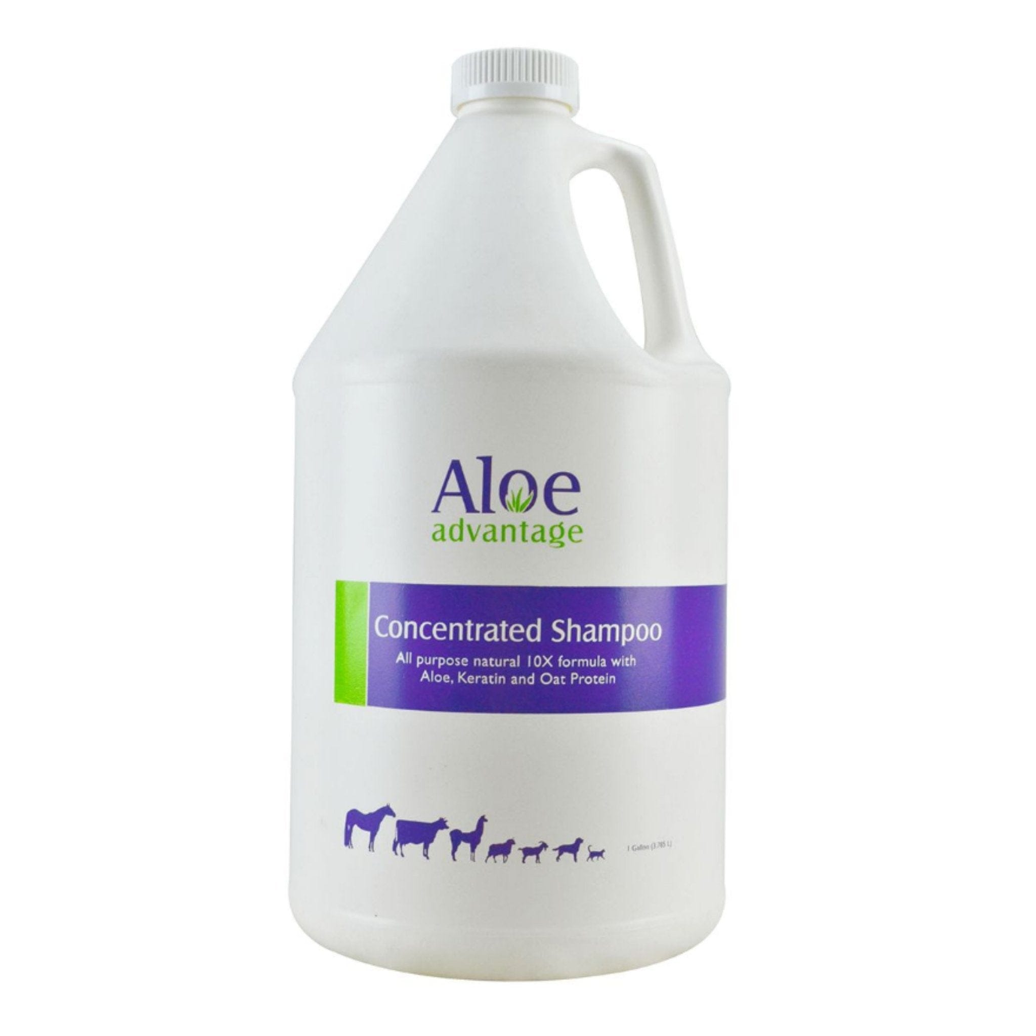 Aloe Advantage Concentrated Shampoo | Corro