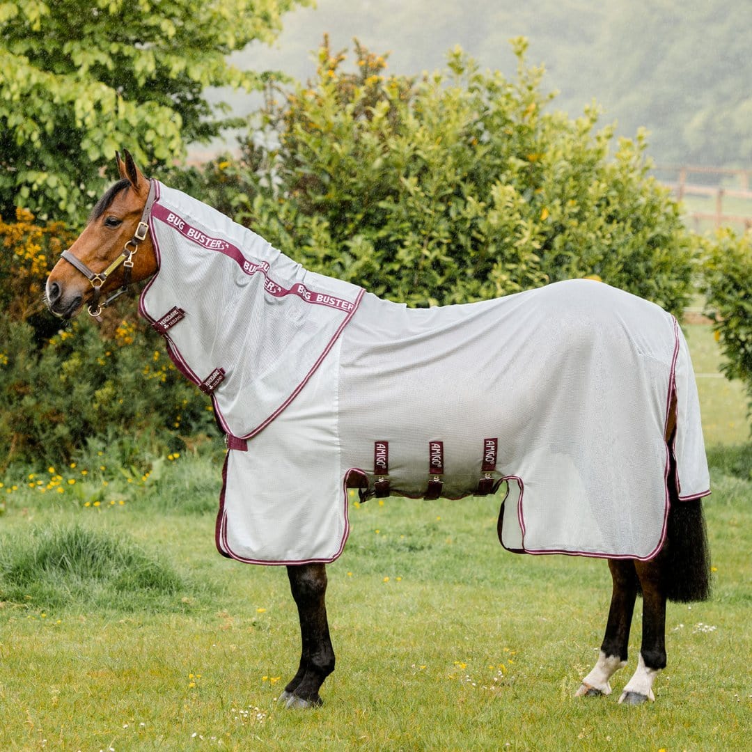 Anti-Fly Sheets for Horses | Corro