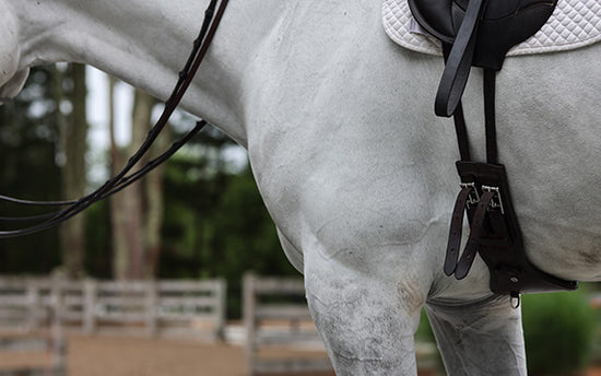Shop English Girths | Corro | Corro