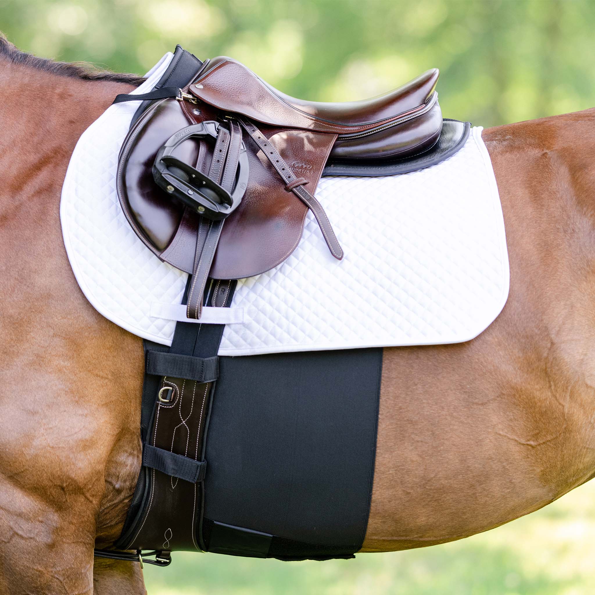 Equifit Belly Band + | Corro