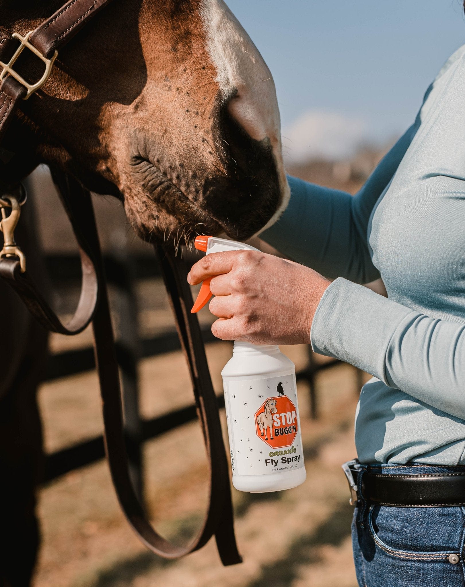 Fly & Insect Control for Horses | Corro