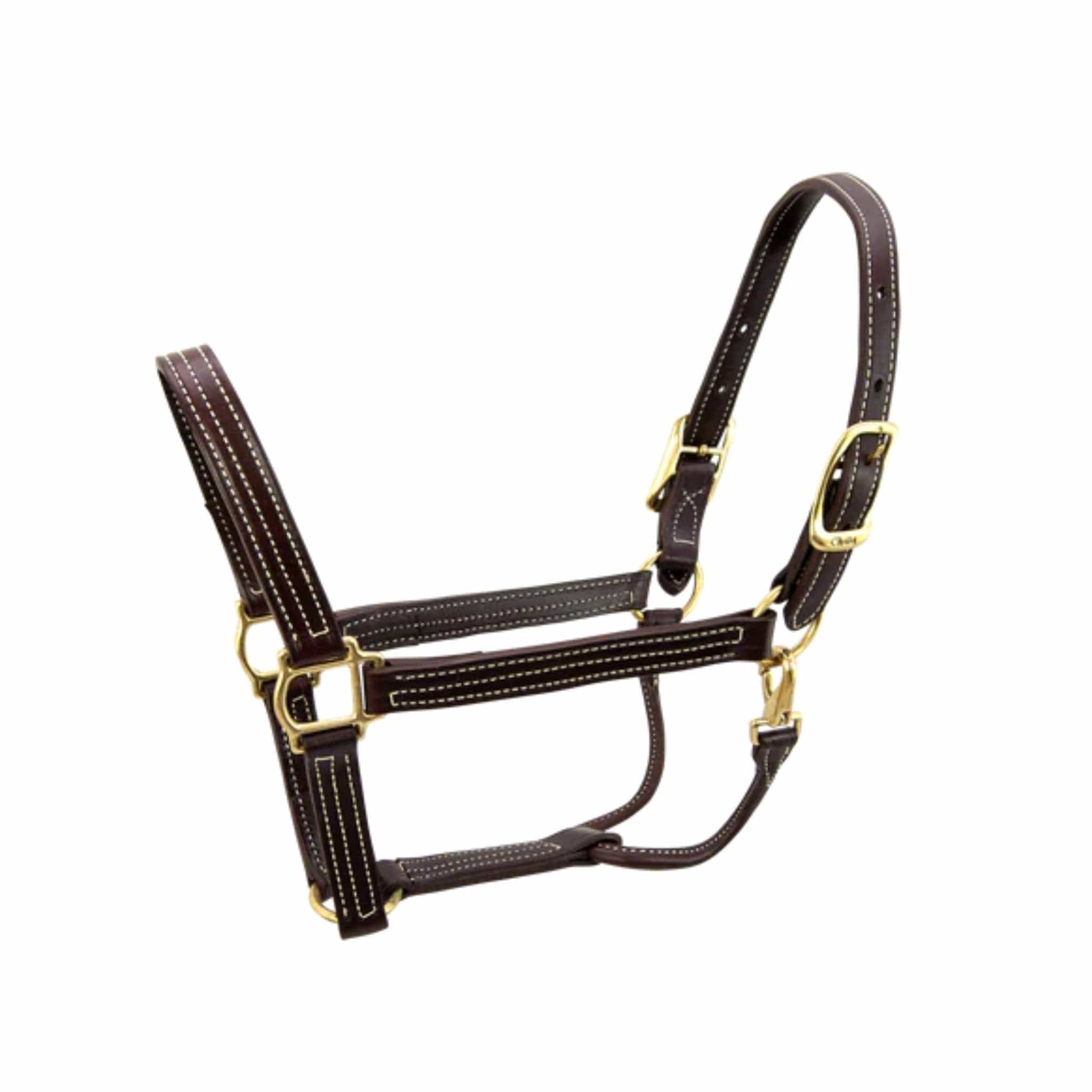 Walsh British Halter | Corro