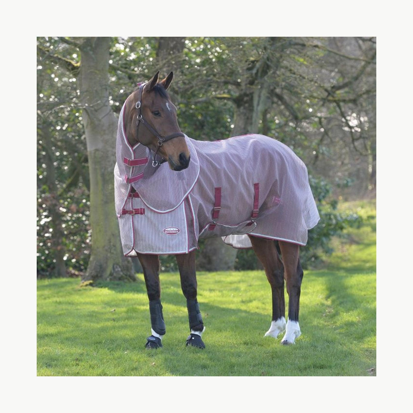 Fly Sheets | Corro
